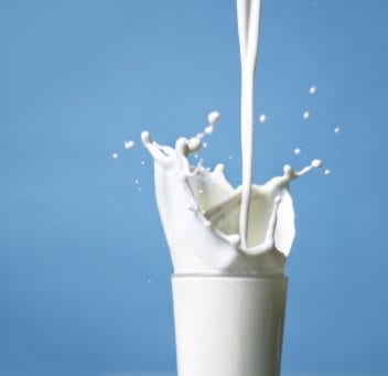 Which milk? | My Nutrition Clinic